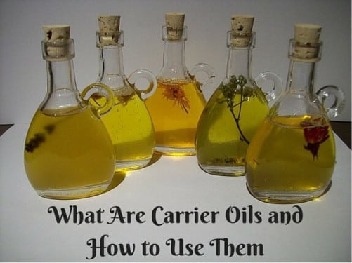 What Are Carrier Oils and How to Use Them - For Your Massage Needs