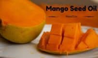 Mango Seed Oil Benefits – For Your Massage Needs