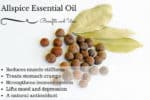 Allspice Essential Oil Benefits and Uses - For Your Massage Needs