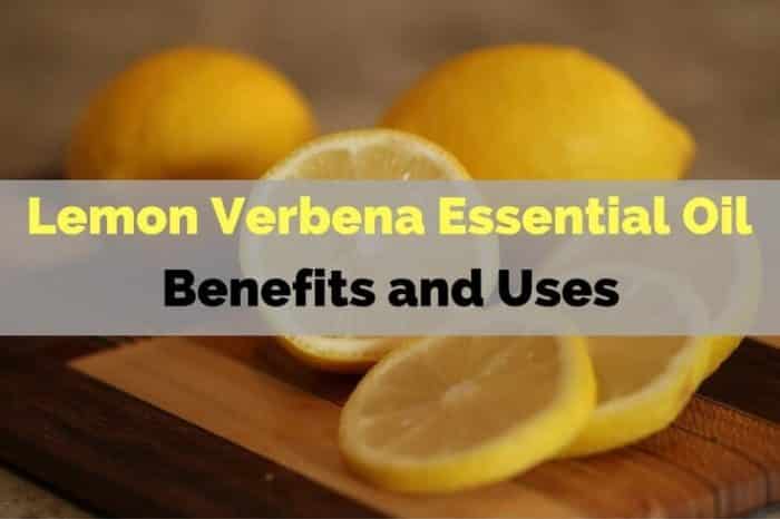 Lemon Verbena Essential Oil Benefits and Uses - For Your Massage Needs