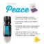 doTERRA Peace Reassuring Blend Essential Oil Review - For Your Massage ...