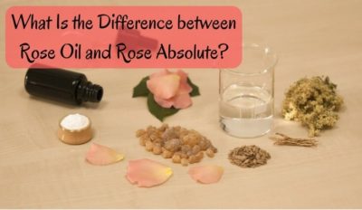 What Is the Difference between Rose Oil and Rose Absolute - For Your ...