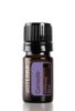 doTERRA Console Essential Oil Comforting Blend Review – For Your ...